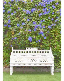 Vintage White Rustic Handcarved Timber Indian Bench